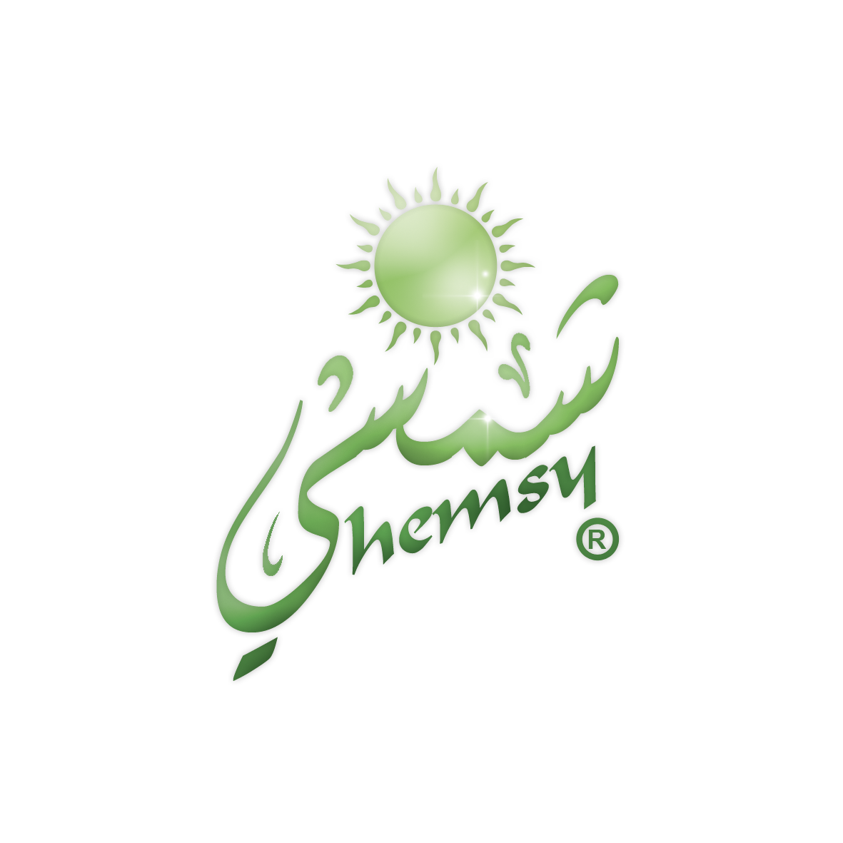 Les Véritables Nems et Samossas Shemsy Traditionnels